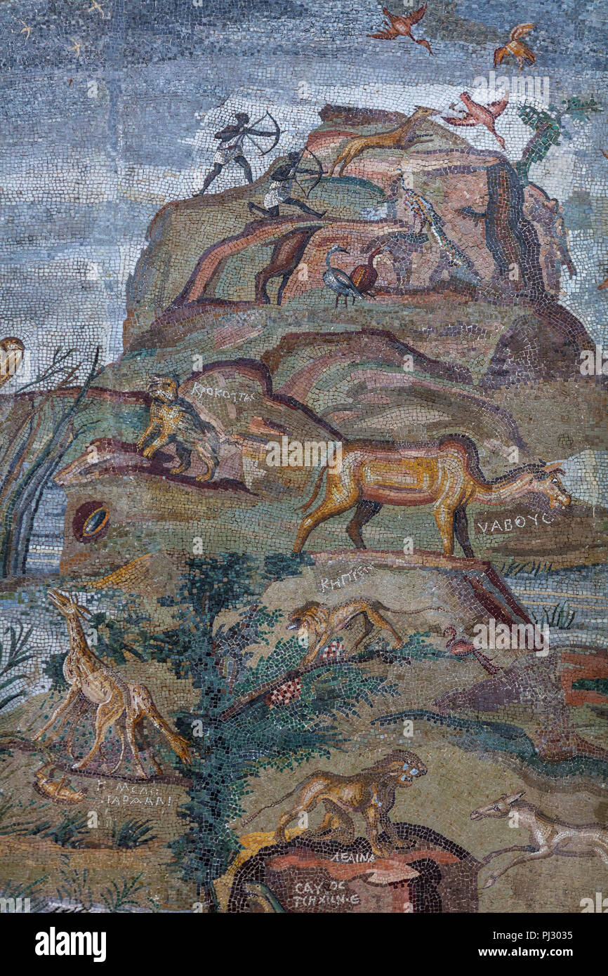 Nilotic Mosaic, Hellenistic art (1st century BC), Archaeological Museum ...