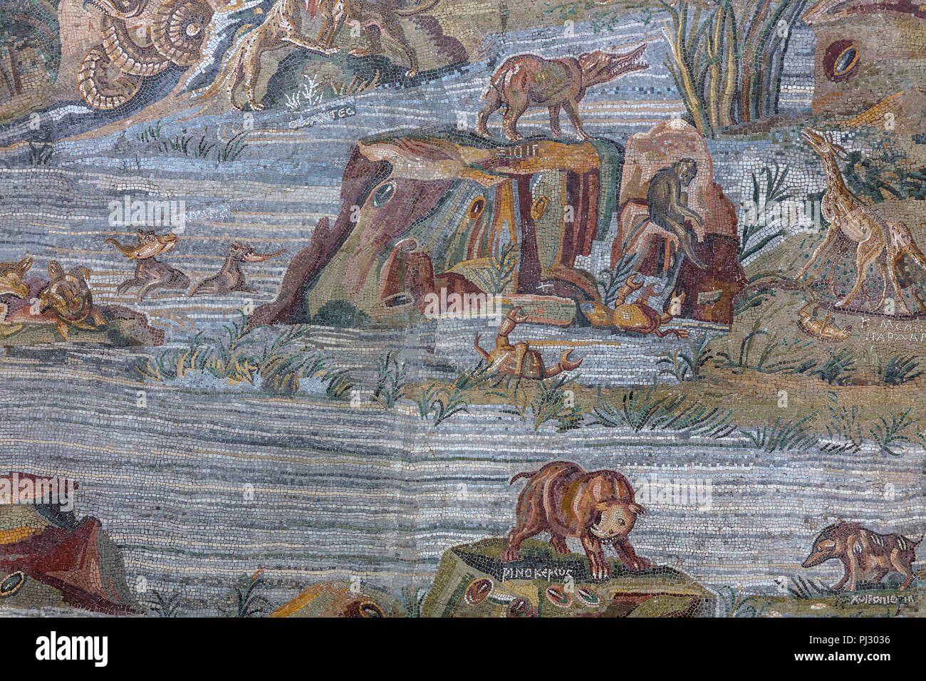 The nile mosaic of palestrina hi-res stock photography and images - Alamy