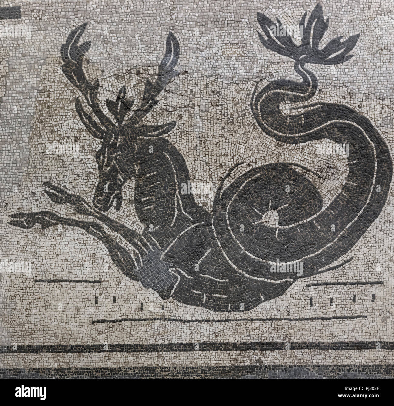 Palestrina mosaic hi-res stock photography and images - Alamy