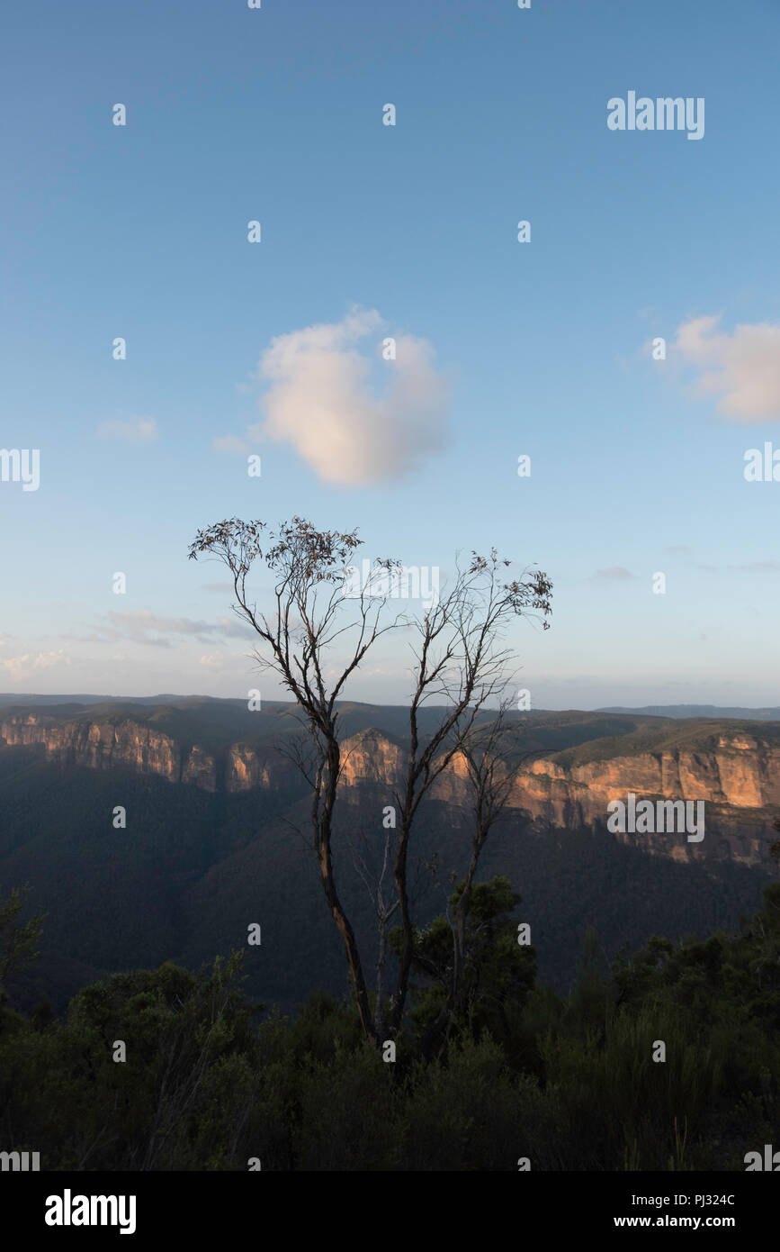Grose valley blue mountains hi-res stock photography and images - Alamy