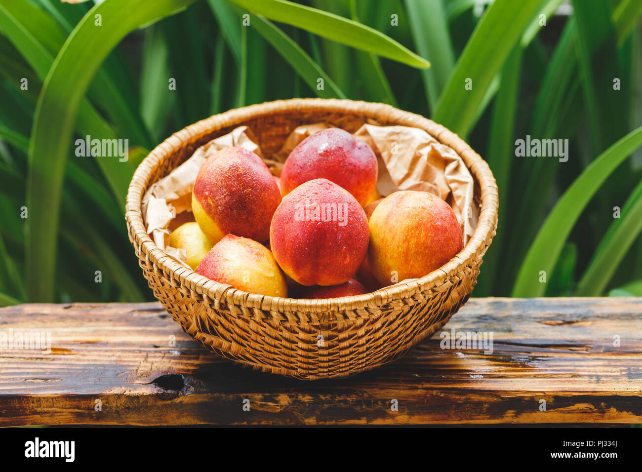 Peach basket ball hi-res stock photography and images - Alamy