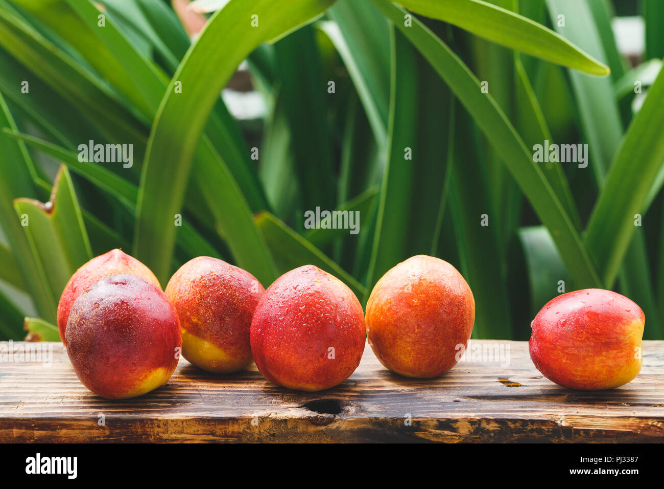 Peach basket ball hi-res stock photography and images - Alamy