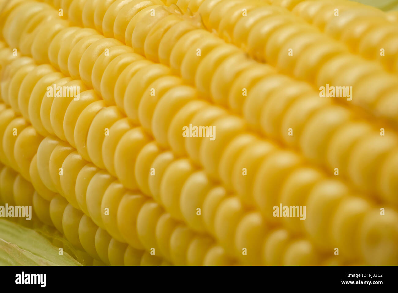 Raw corn stalks Stock Photo - Alamy