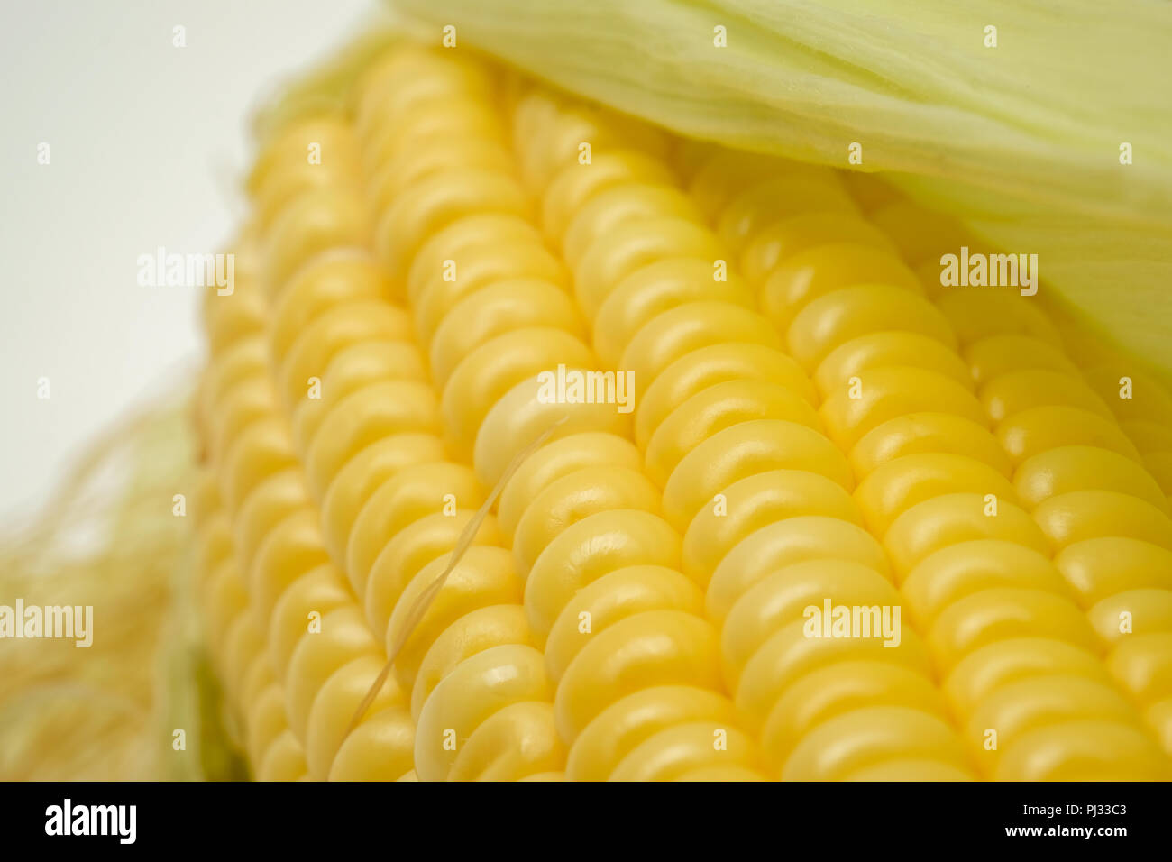 Raw corn stalks Stock Photo - Alamy