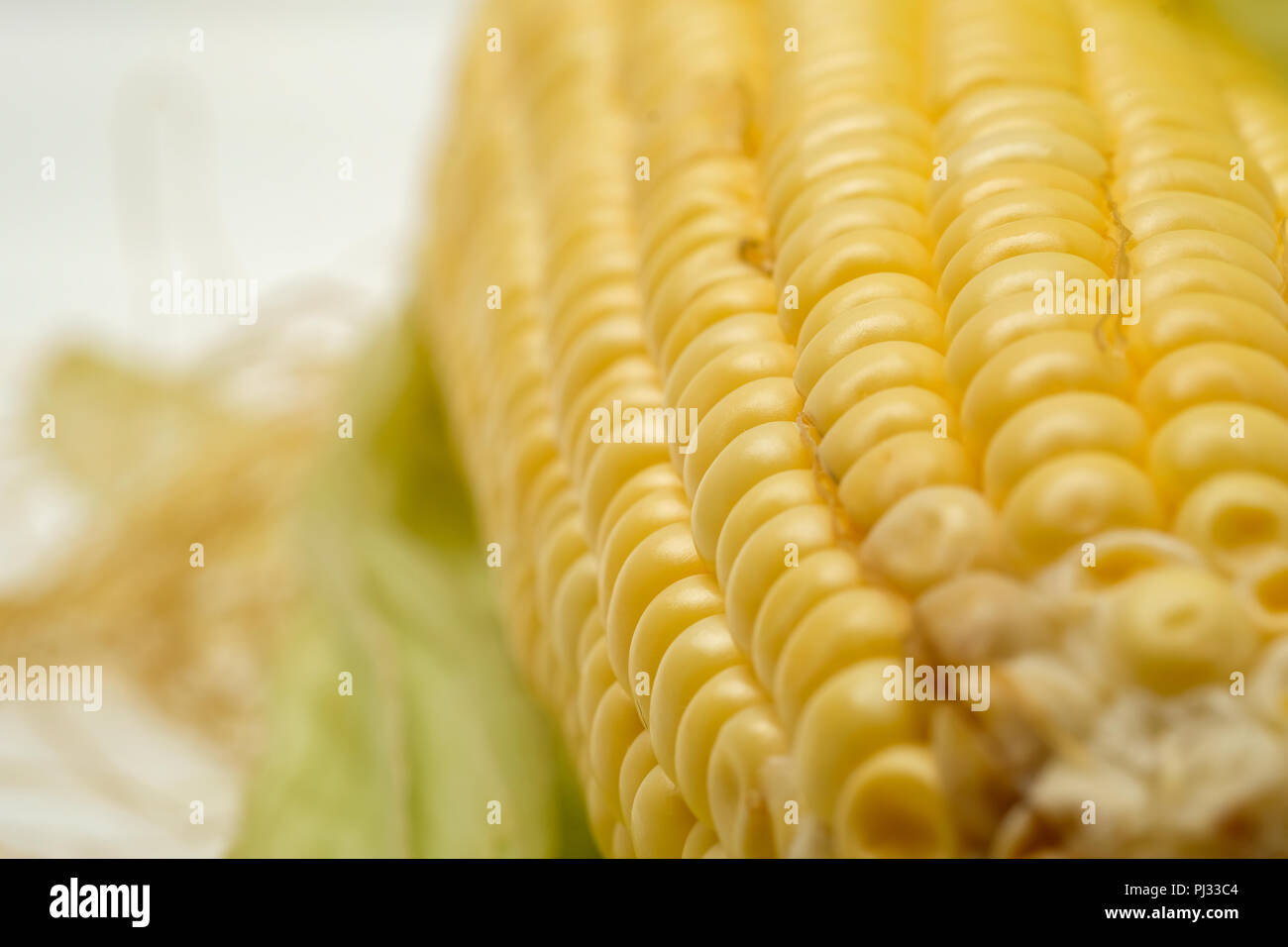 Broken corn kernels hi-res stock photography and images - Alamy