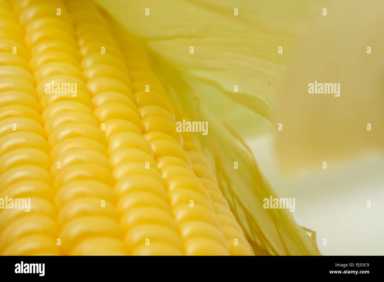 Broken corn kernels hi-res stock photography and images - Alamy