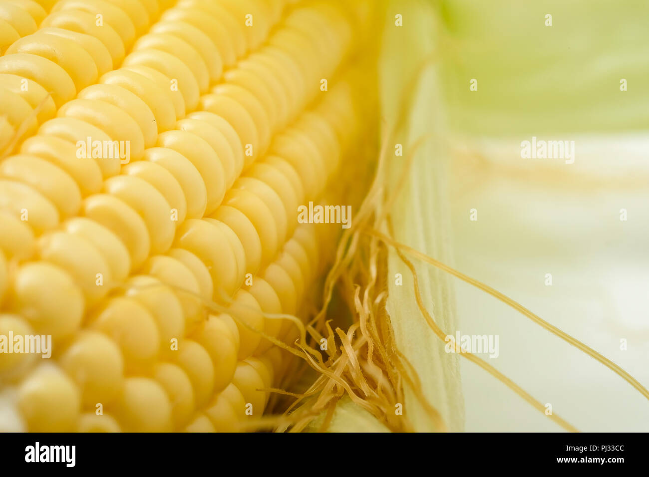 Maize cob pale hi-res stock photography and images - Alamy