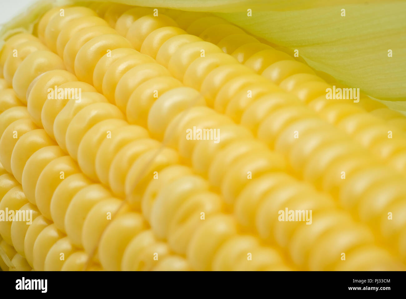Raw corn stalks Stock Photo - Alamy