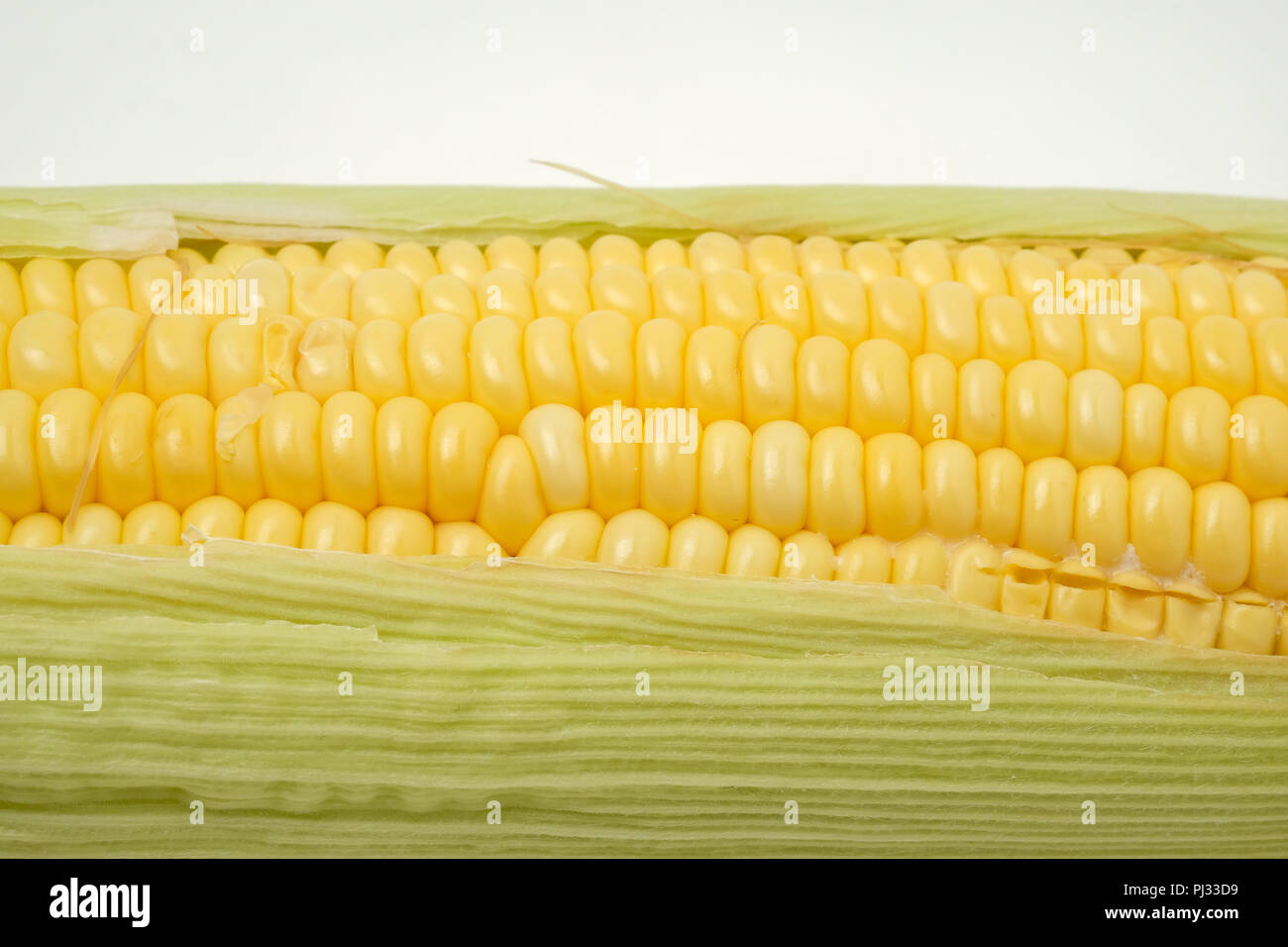 Raw corn stalks Stock Photo - Alamy