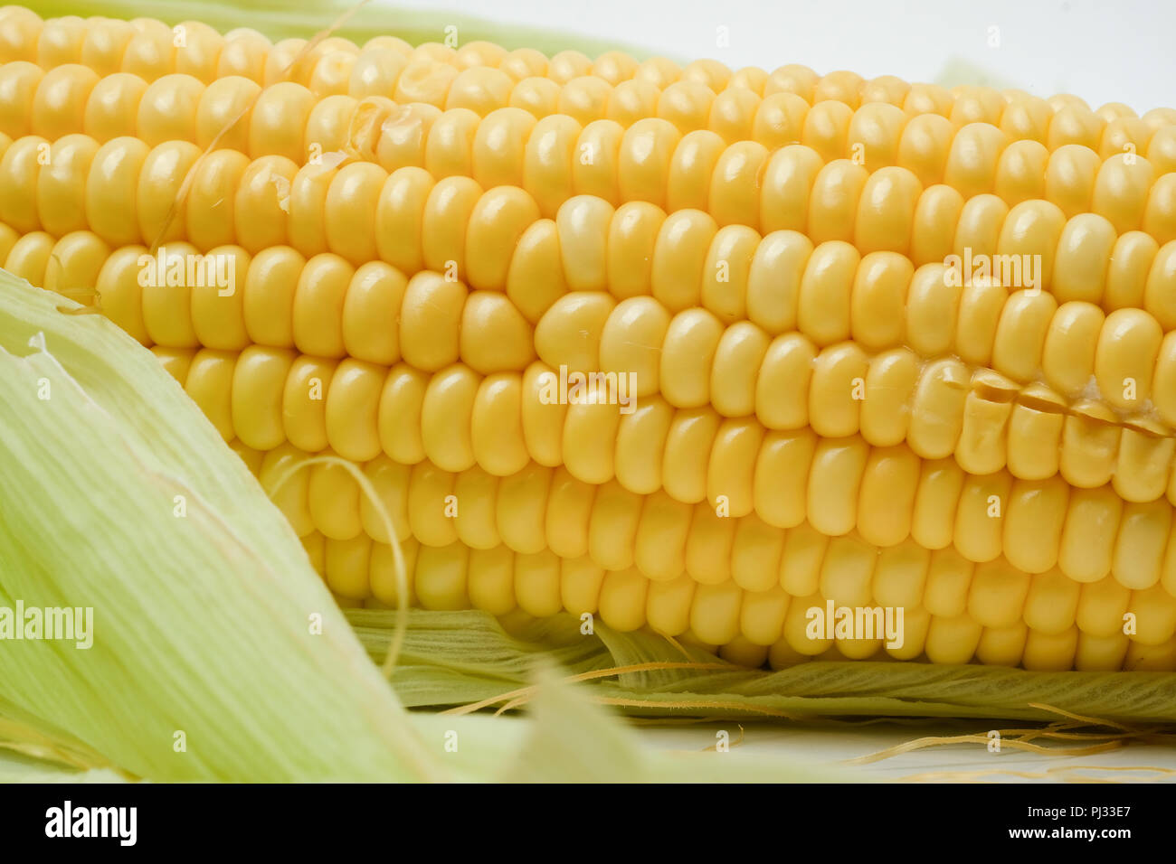 Raw corn stalks Stock Photo - Alamy