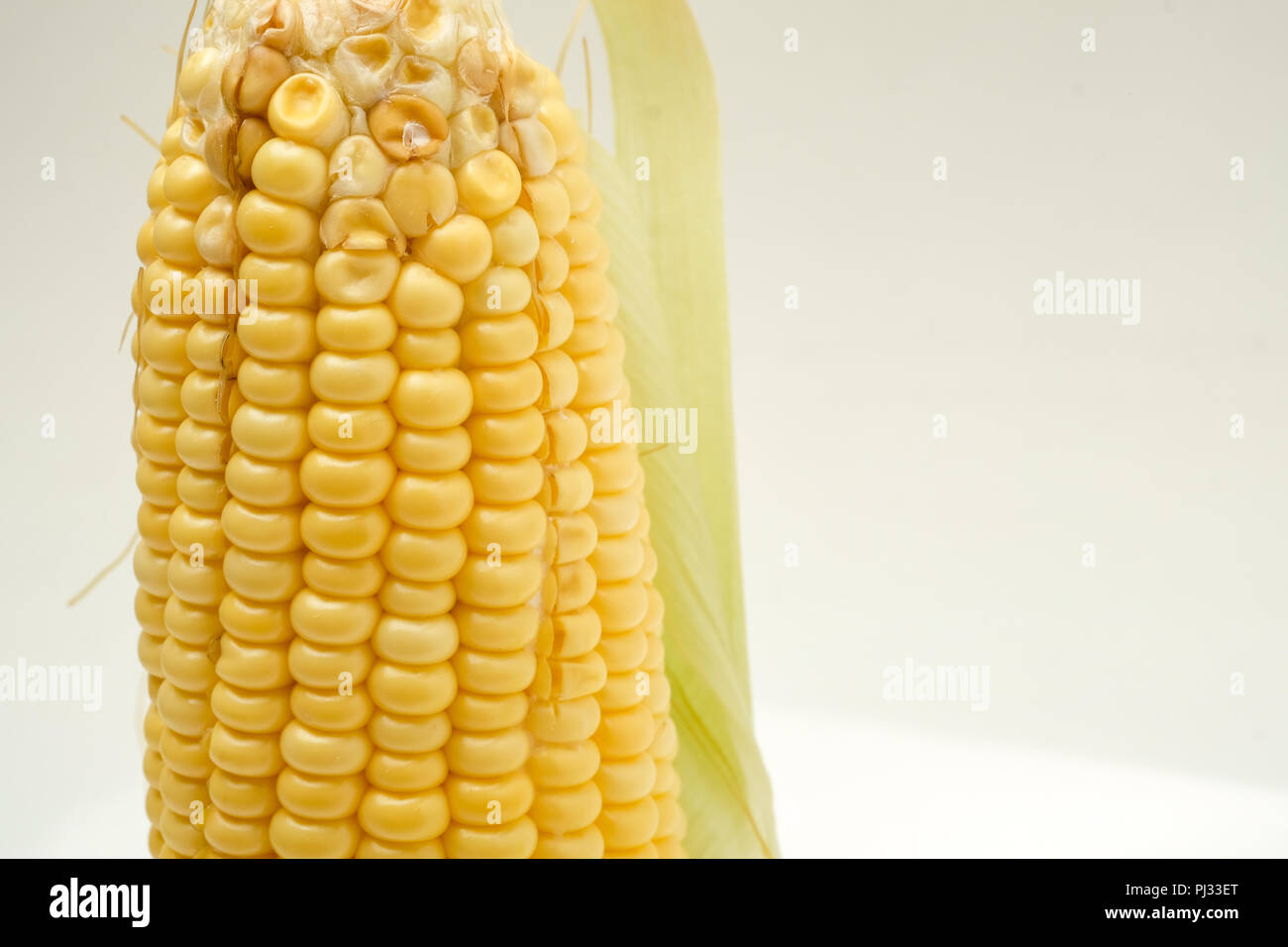 Maize cob pale hi-res stock photography and images - Alamy