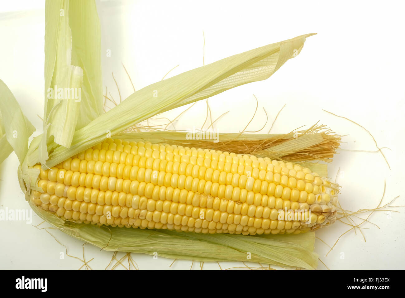 Raw corn stalks Stock Photo - Alamy