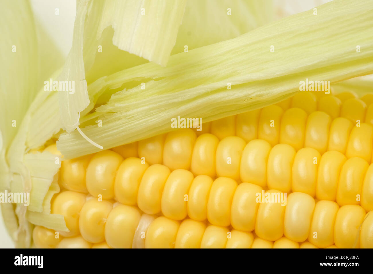 Raw corn stalks Stock Photo - Alamy