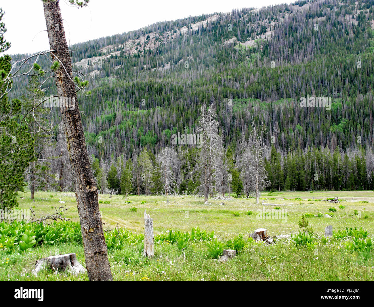 Valley Of Green Stock Photo - Alamy