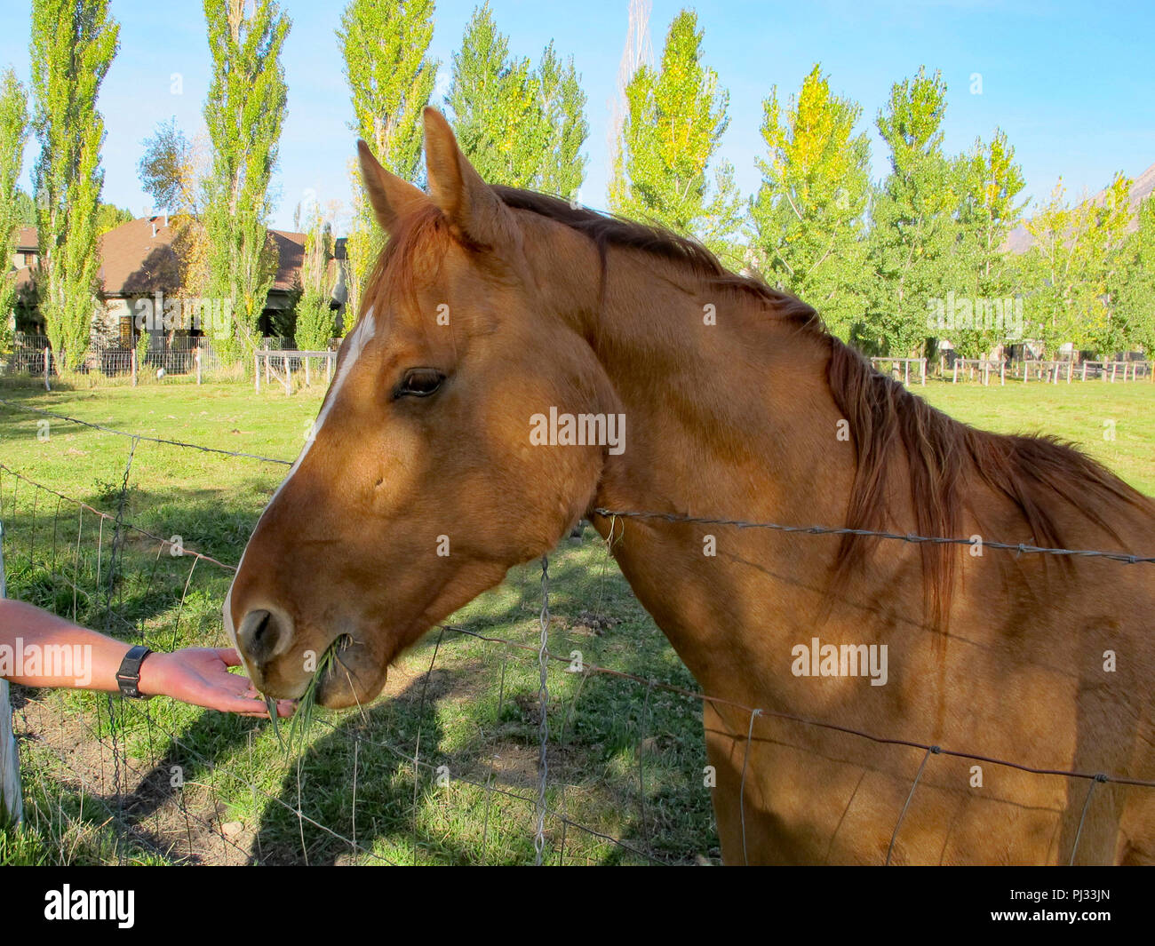 Graciously hi-res stock photography and images - Alamy