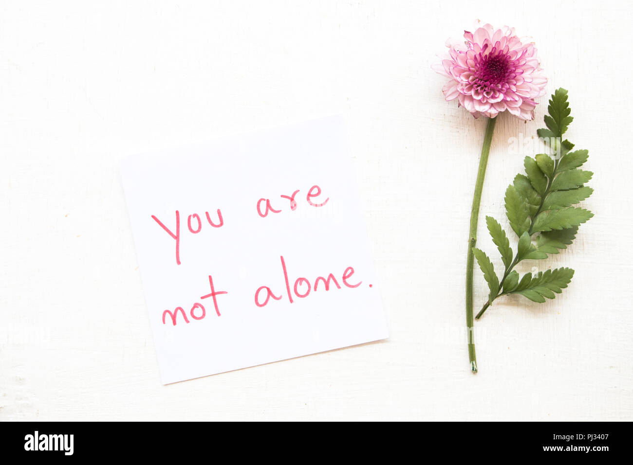 you are not alone message card handwriting with pink flower on ...