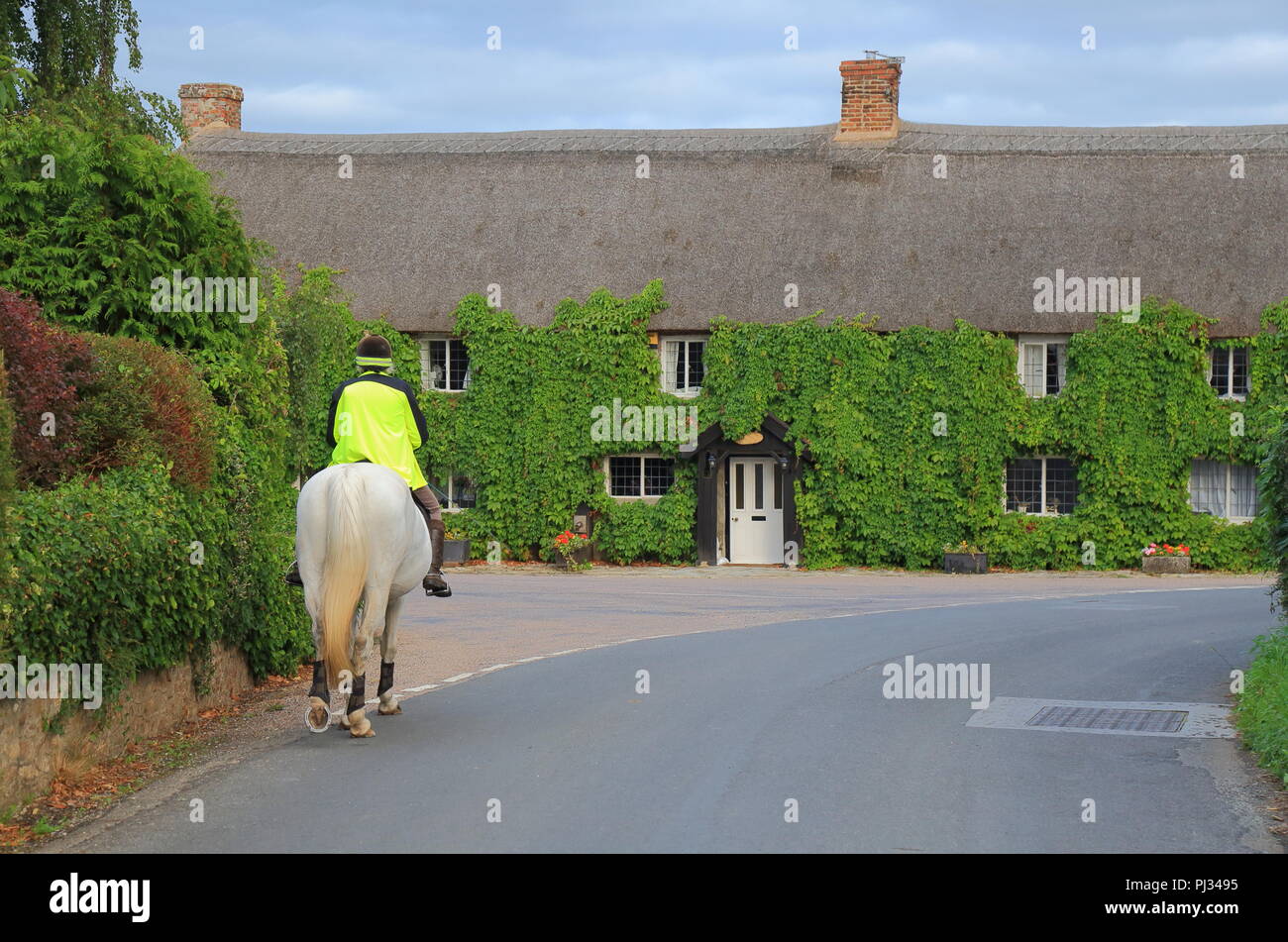 Devon countryside horse hi-res stock photography and images - Alamy