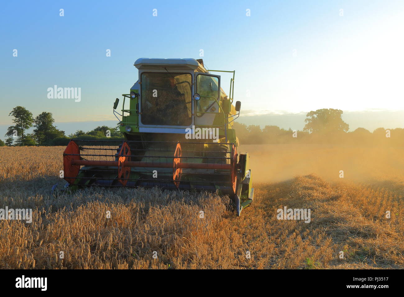 Combine in wheat field hi-res stock photography and images - Alamy