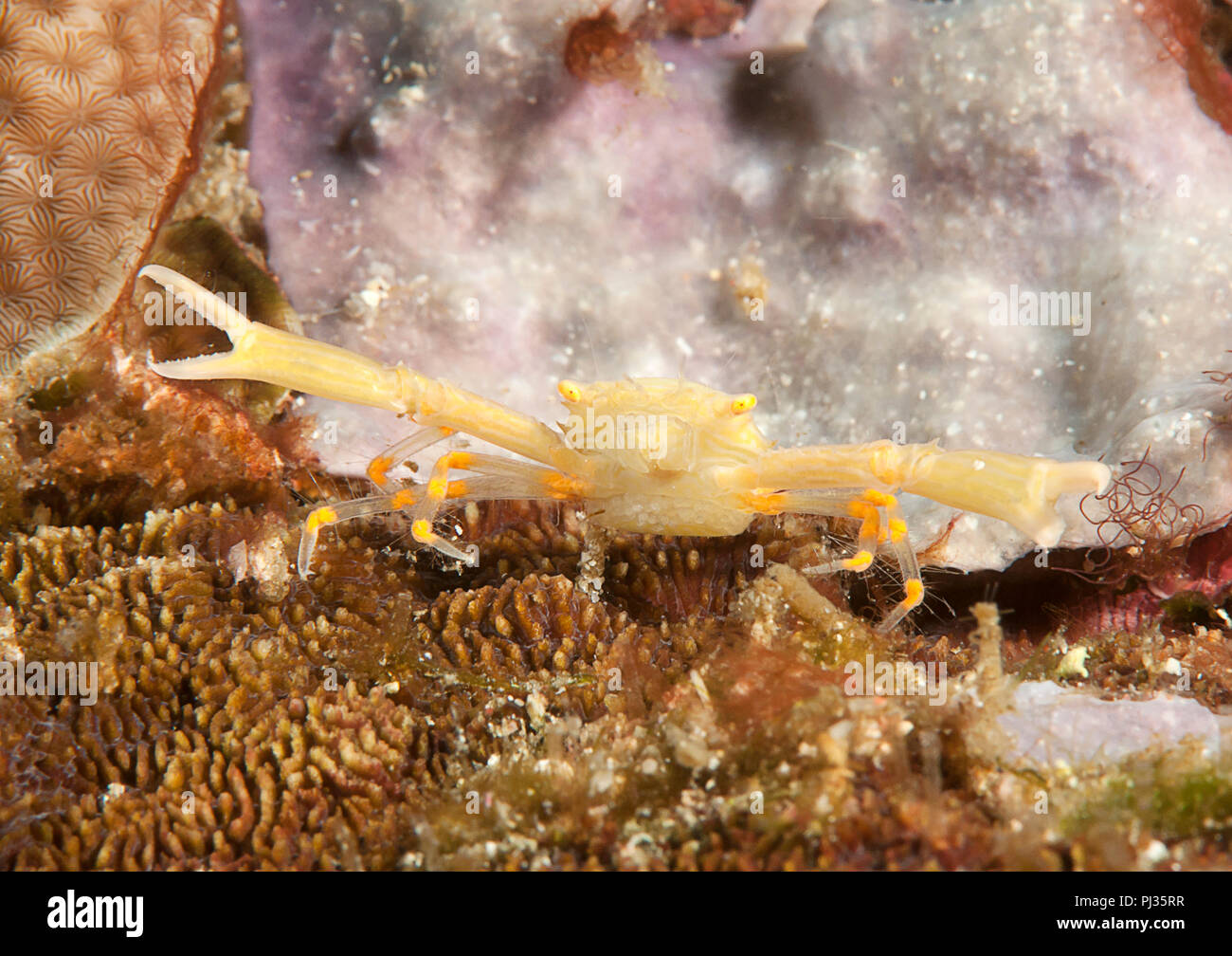 Quadrella hi-res stock photography and images - Alamy