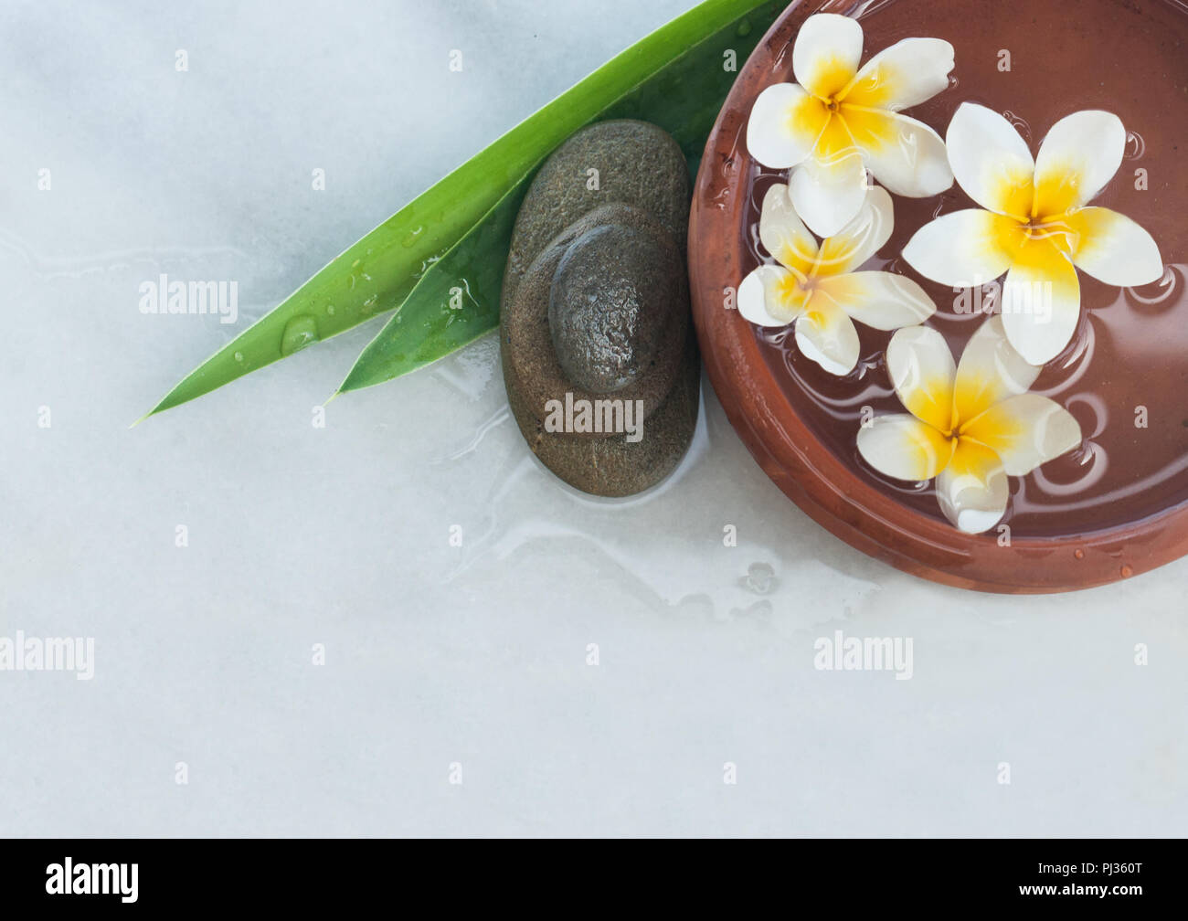 Four spf flower in bowl with water for massage treatment on white ...