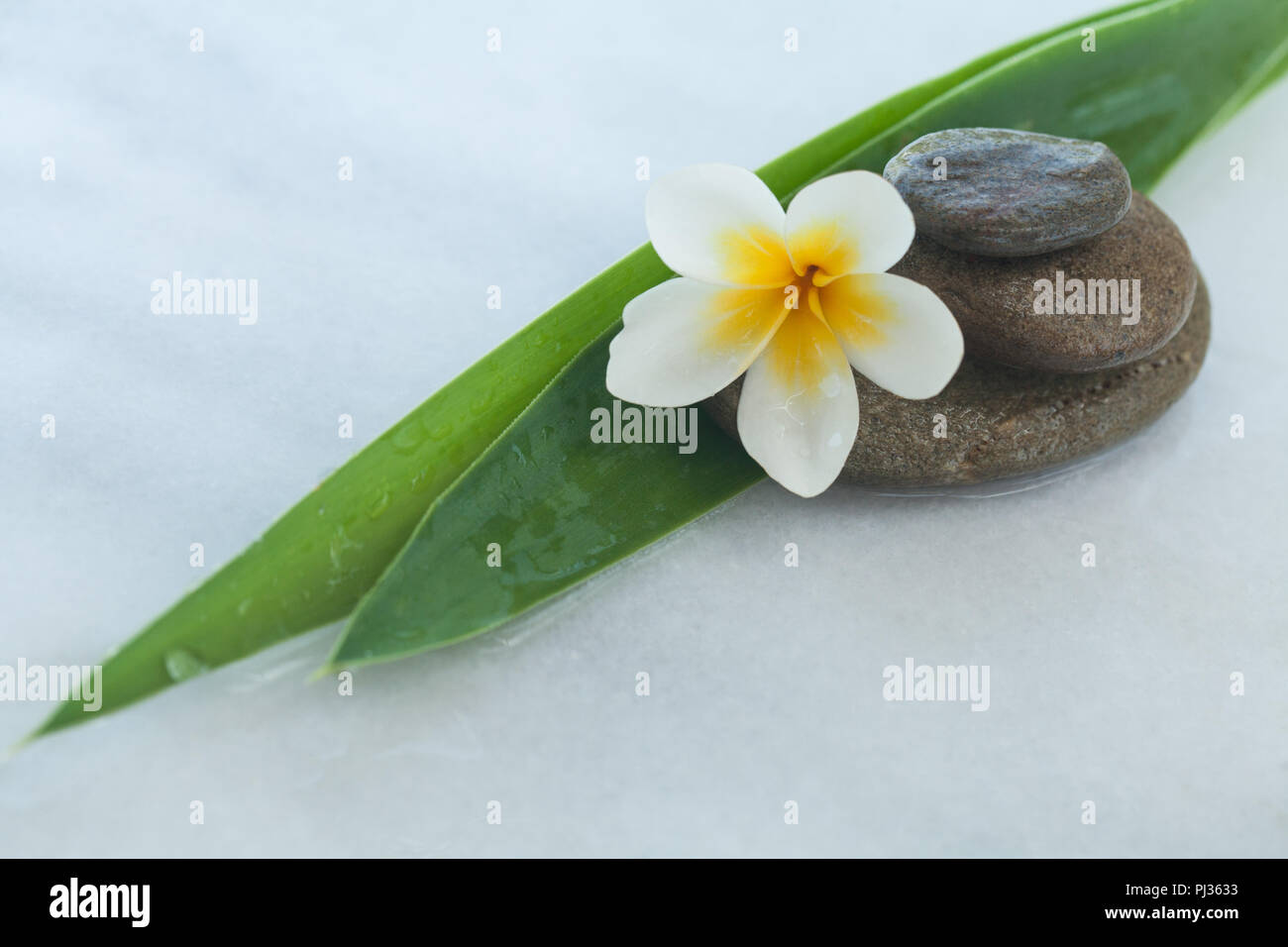spa objects for relax massage on white marble background Stock Photo ...