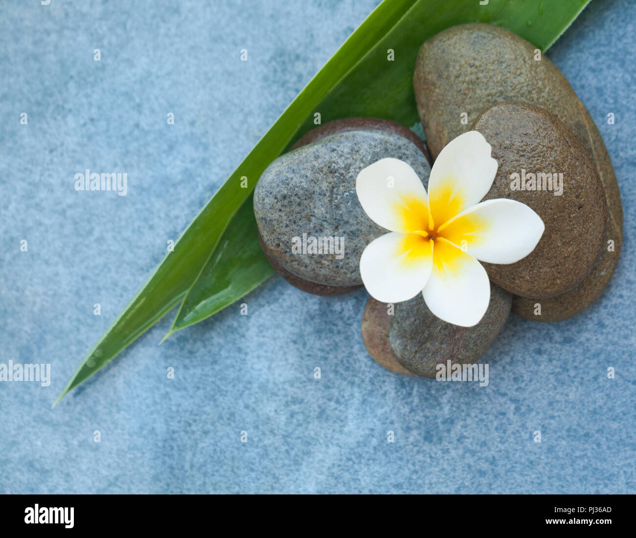 Top view of flower and stones for relax massage room on blue background Stock Photo - Alamy