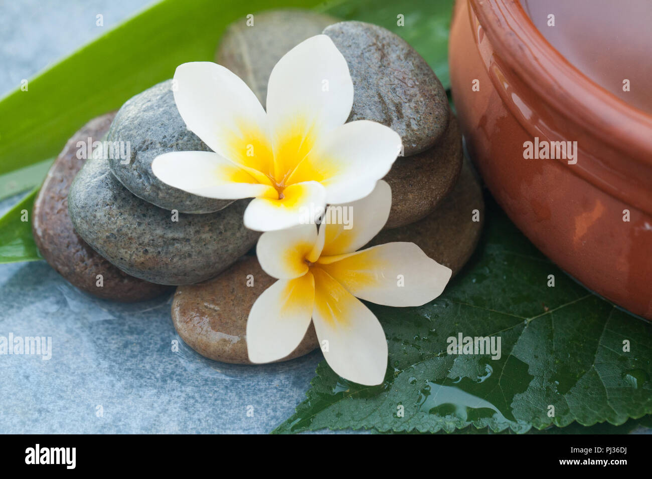Spa tropical flowers with spa objects for relax massage room Stock ...
