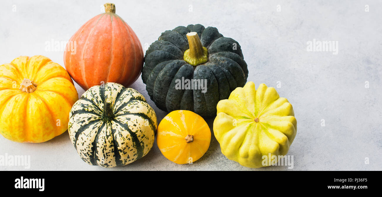 Orange hubbard squash hi-res stock photography and images - Alamy