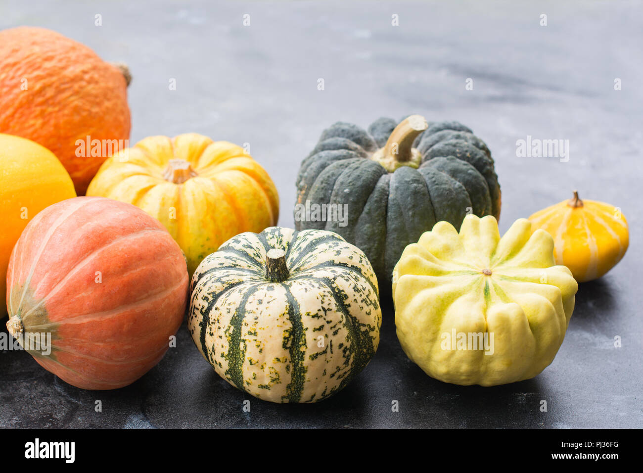 Autumn crops. Different varieties of pumpkins and gourds on the dark ...