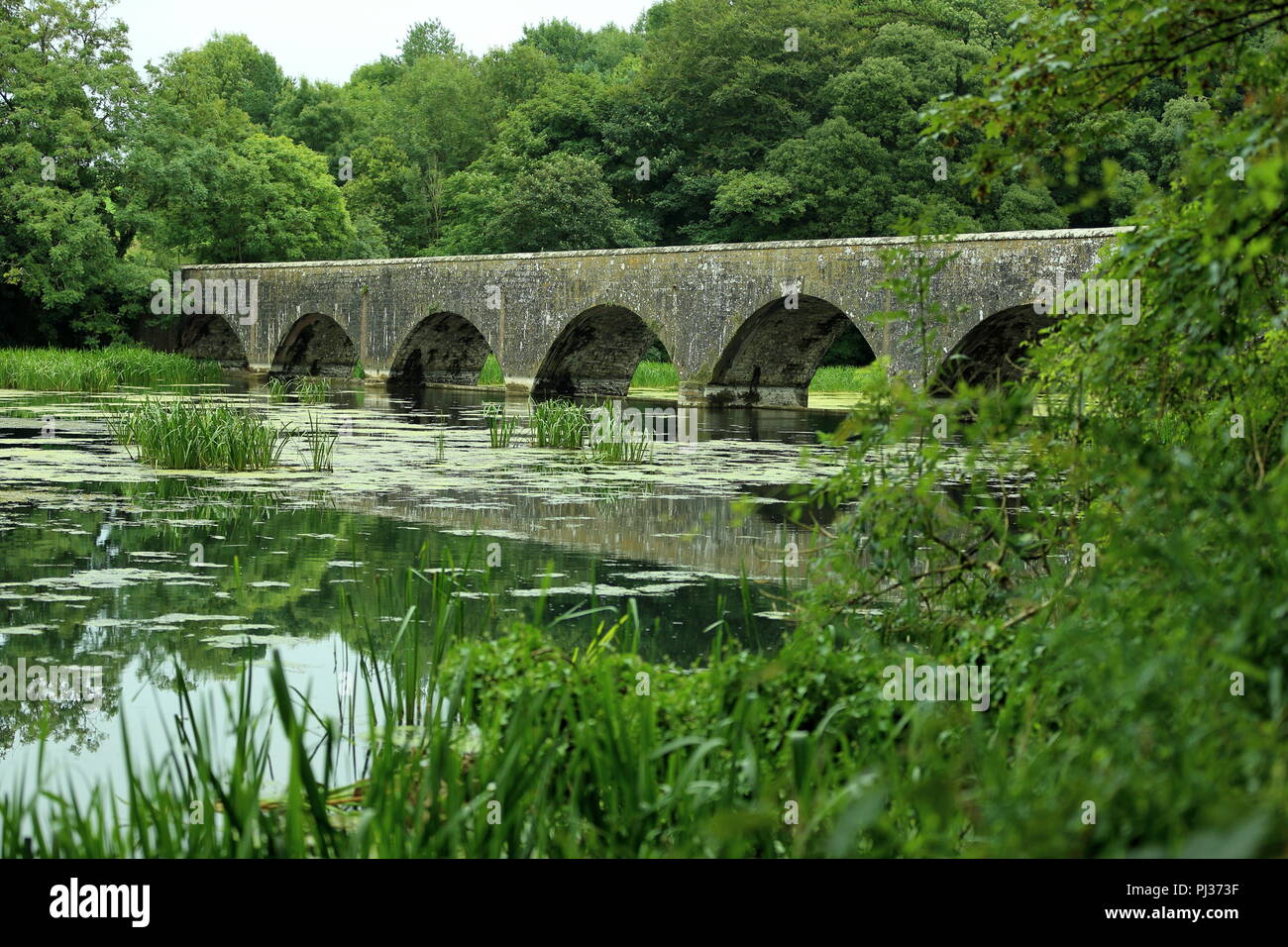 Eight Arch Bridge, Stackpole Estae, Pembrokeshire, UK Stock Photo - Alamy