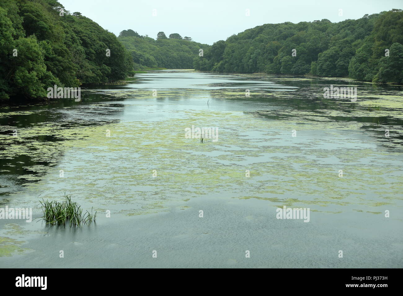 View from Eight Arch Bridge, Stackpole Estate, Pembrokeshire, Wales ...