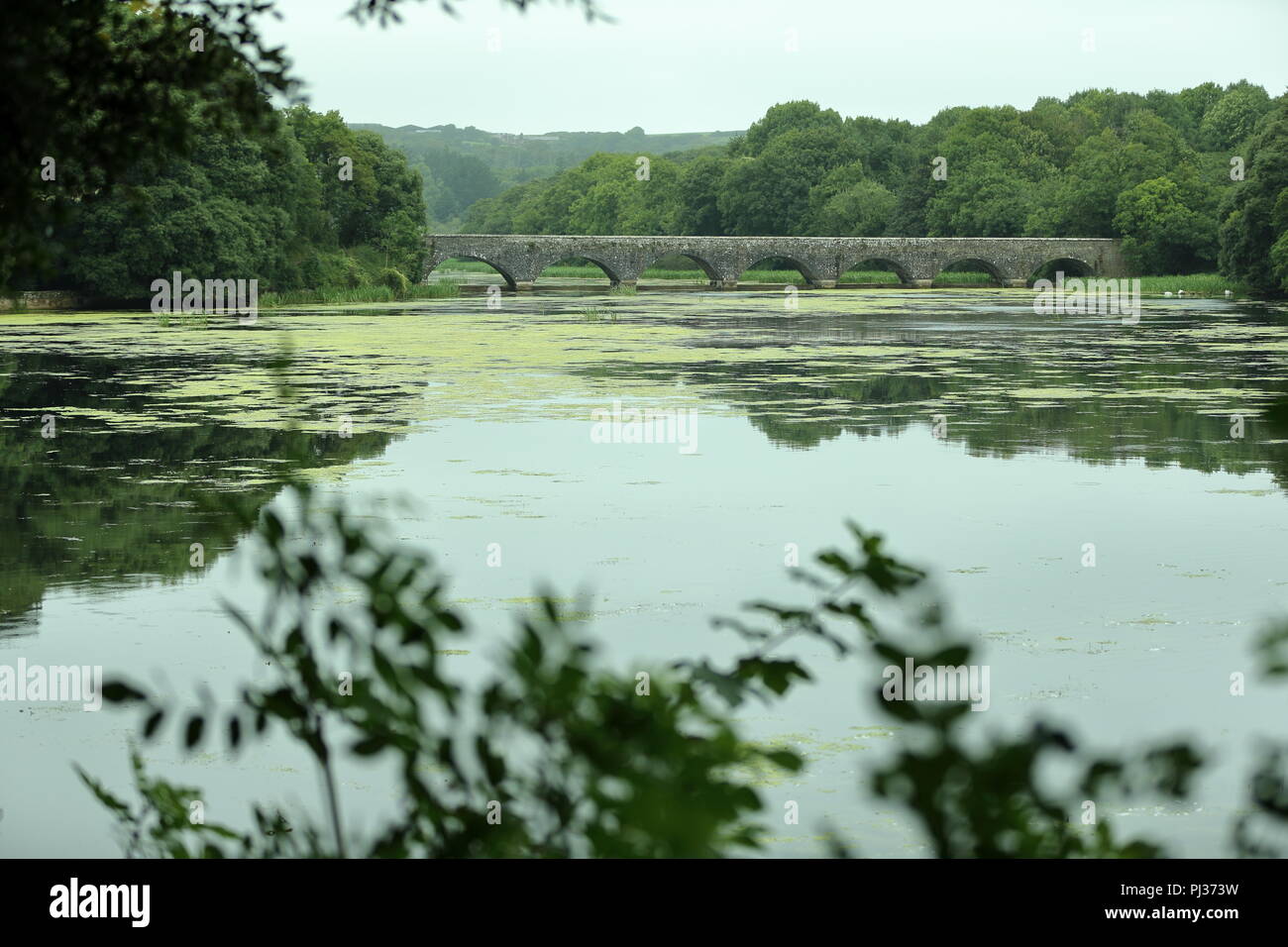 Eight Arch Bridge, Stackpole Estae, Pembrokeshire, UK Stock Photo - Alamy