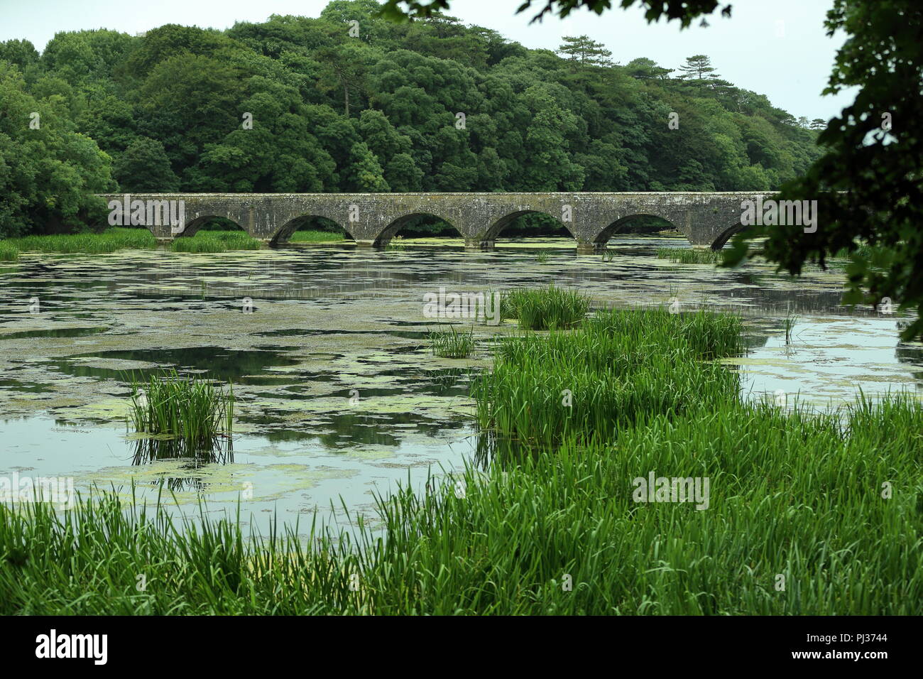 Eight Arch Bridge, Stackpole Estae, Pembrokeshire, UK Stock Photo - Alamy