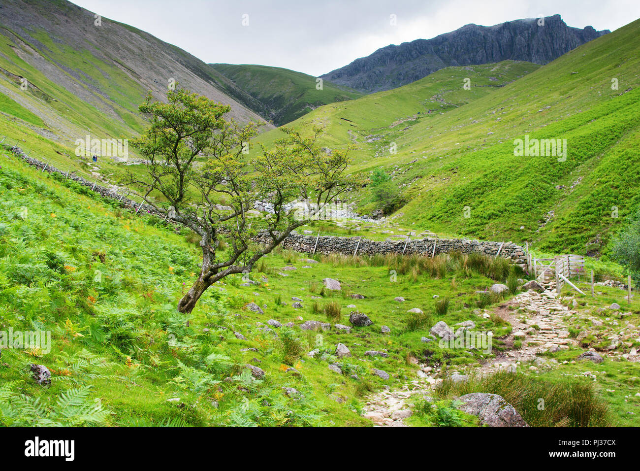 The highest peak in the lake district hi-res stock photography and ...