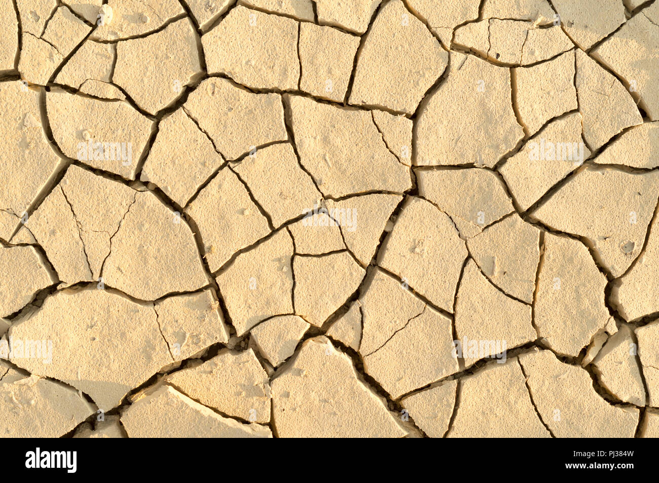 PATCH OF LAND OF DRY GROUND IN YELLOW TINT Stock Photo - Alamy