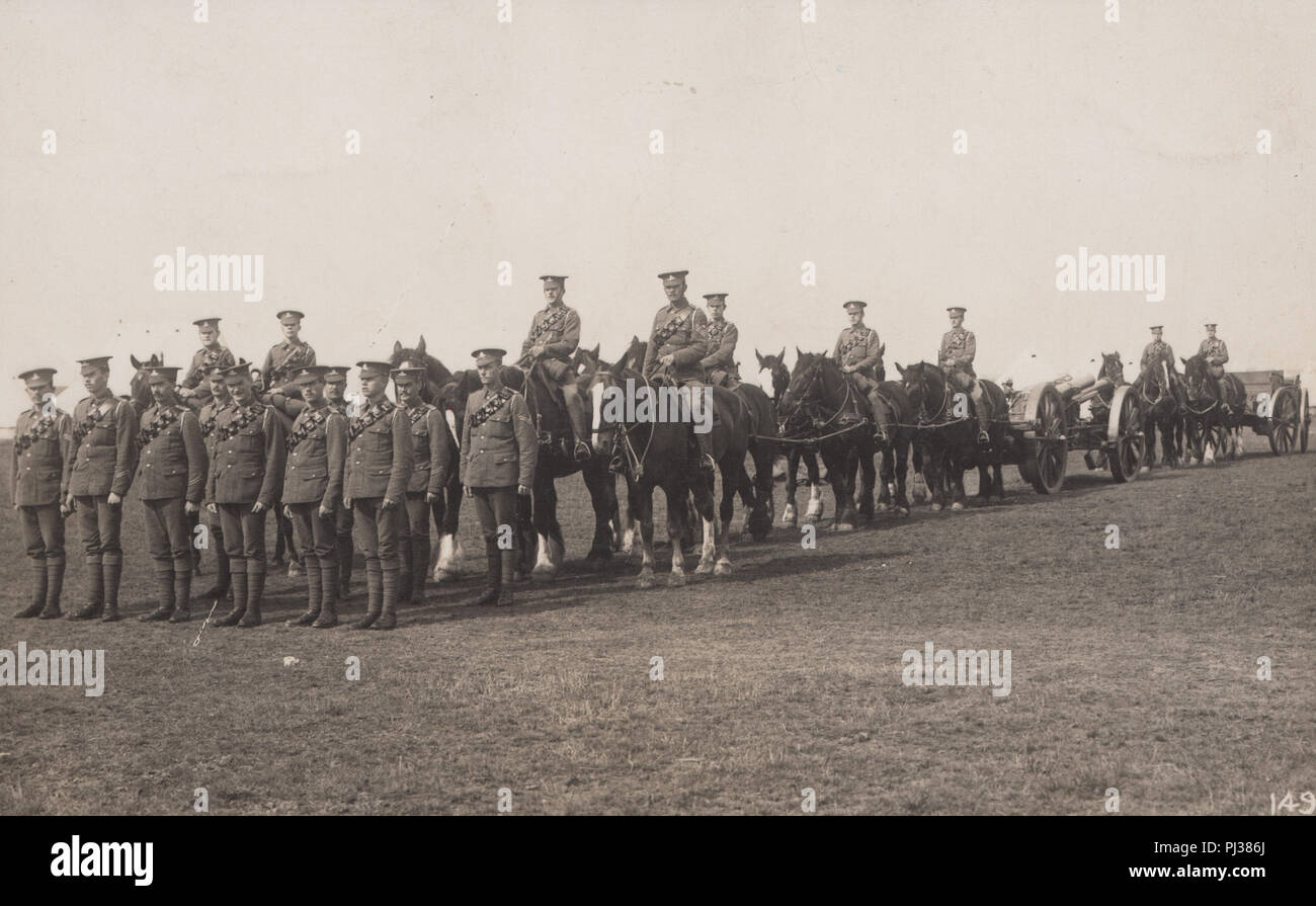Horses World War One British High Resolution Stock Photography and ...