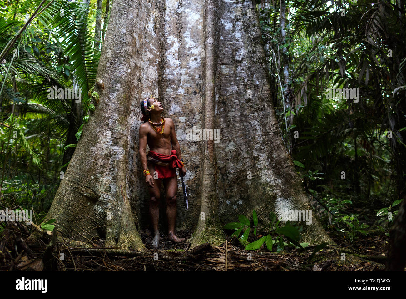 Young shaman decorated with flowers and jewelry standing by old tall ...