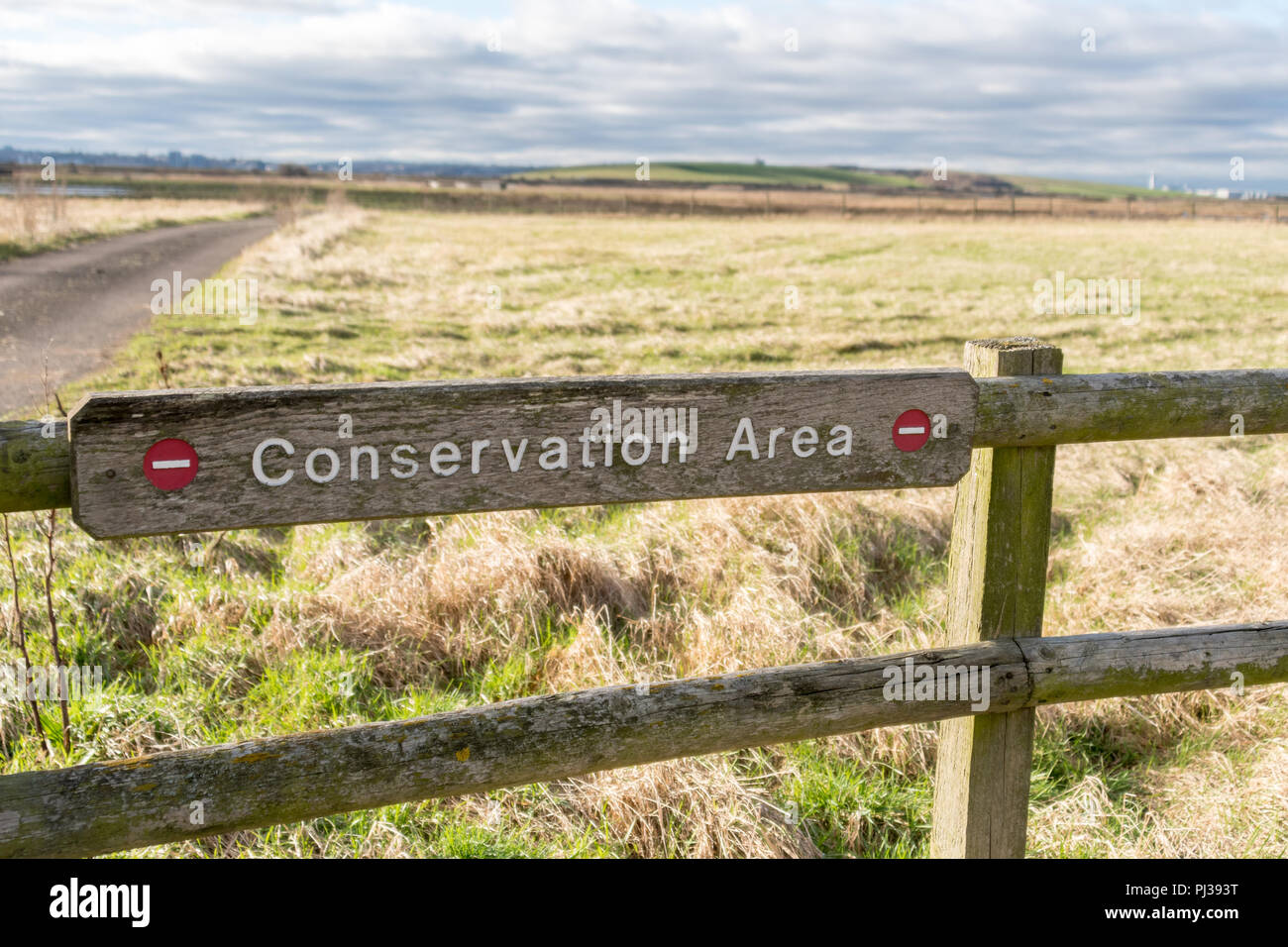 Conservation area at RSPB Rainham Marshes Stock Photo - Alamy