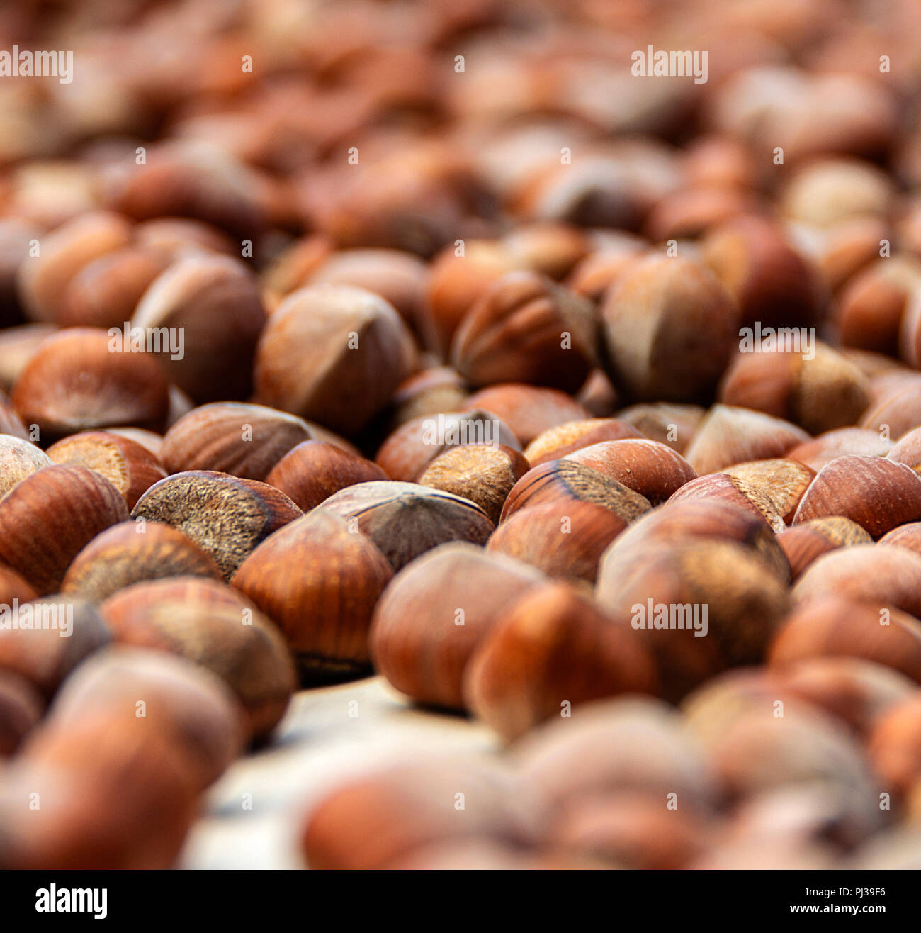 Nuts drying hi-res stock photography and images - Alamy