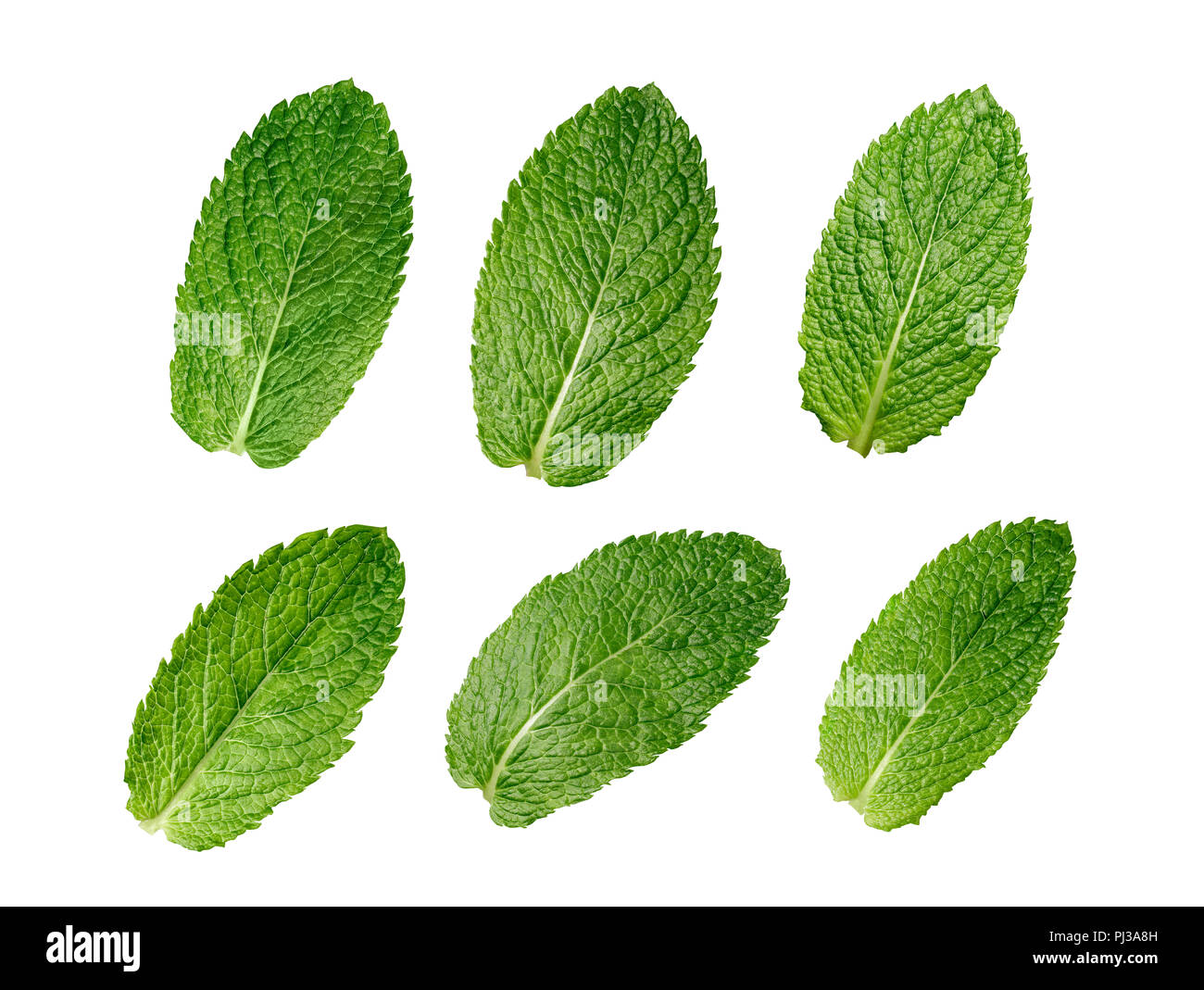 Leaves pack hi-res stock photography and images - Alamy