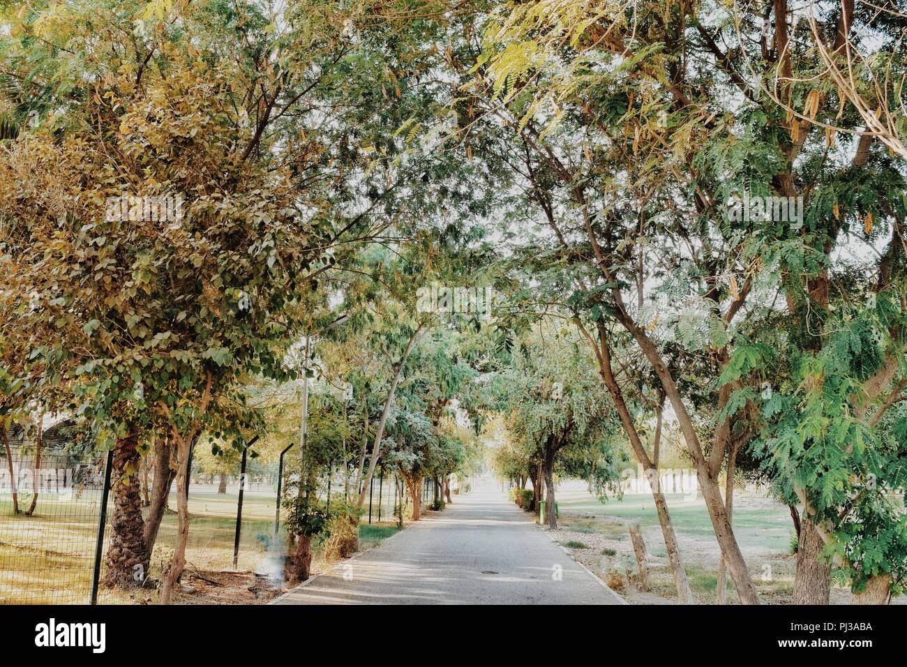 Nice road view for background hi-res stock photography and images - Alamy