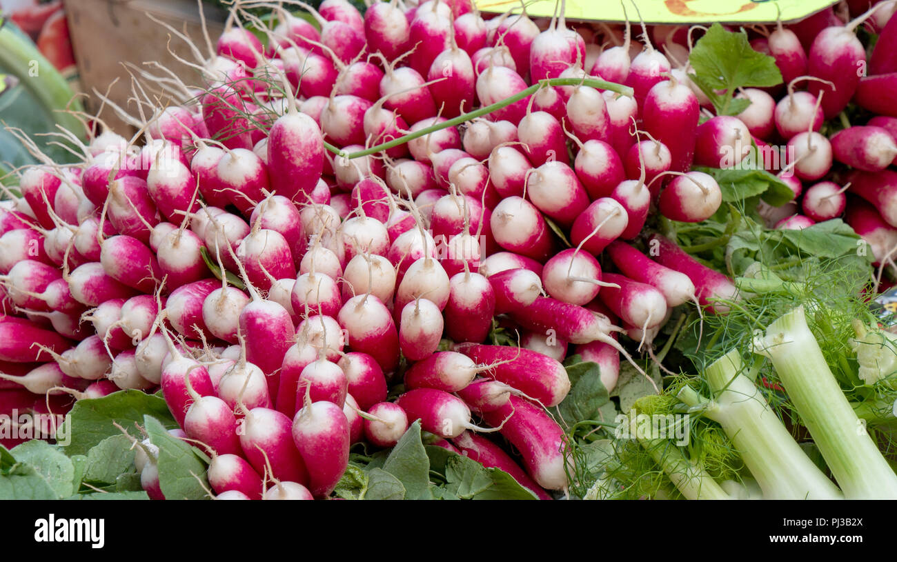 the organic radish bunch on the market Stock Photo - Alamy
