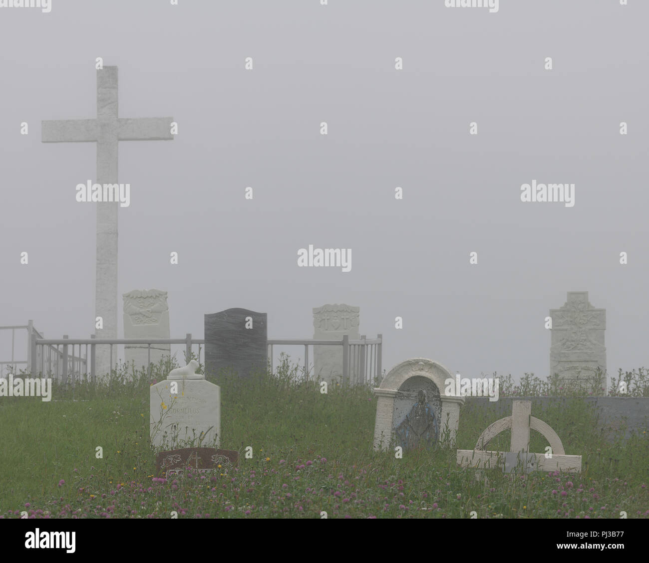 Tombstones in the fog at the cemetery of the Sacred Heart Catholic ...