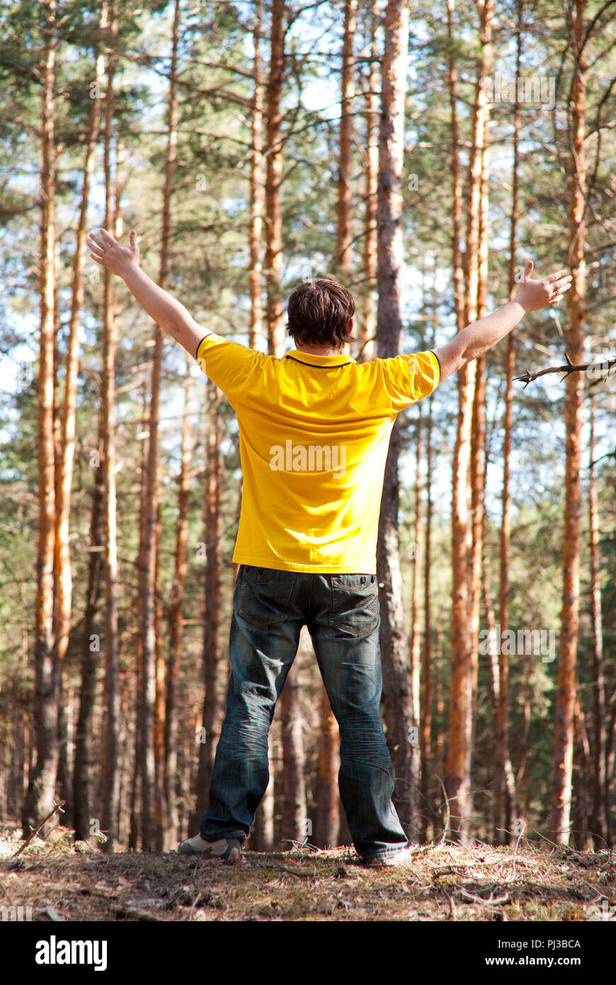 man standing in the pine forest Stock Photo - Alamy