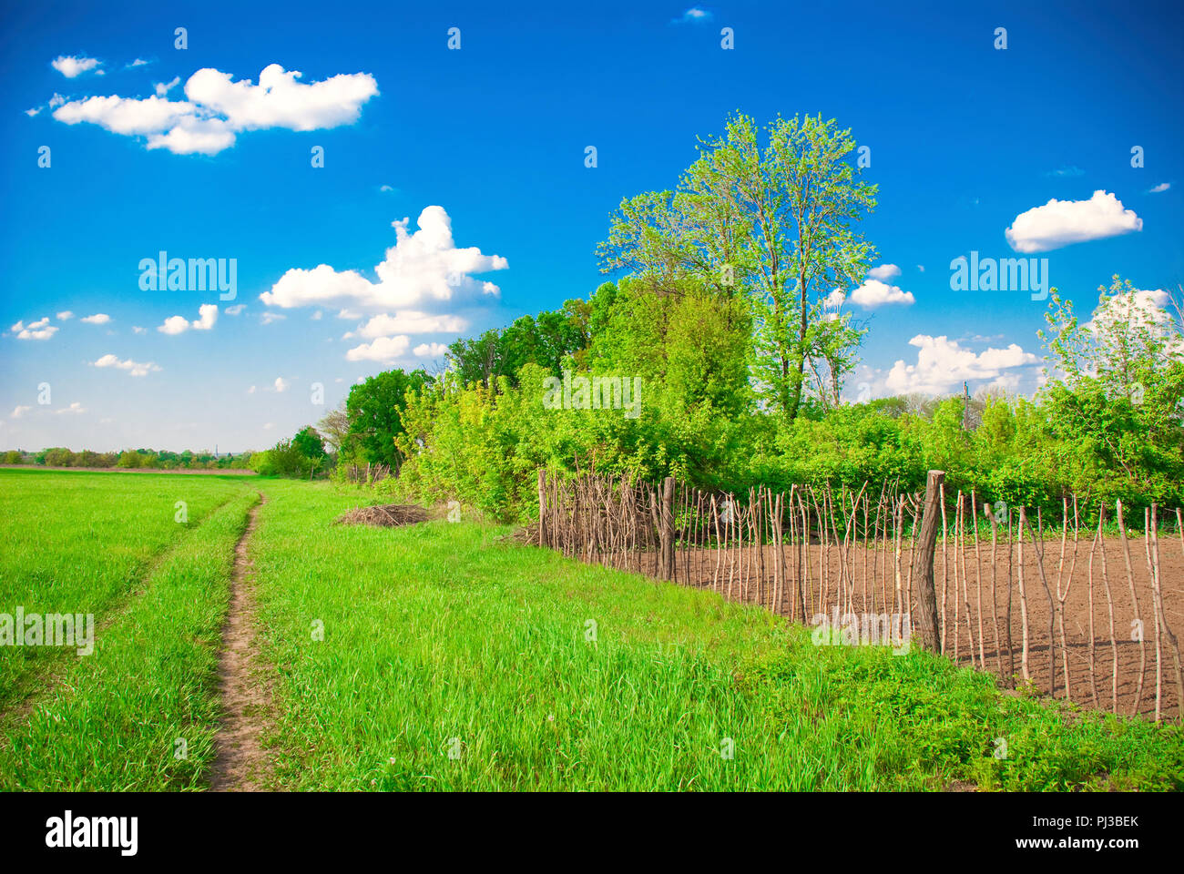Garden track hi-res stock photography and images - Alamy