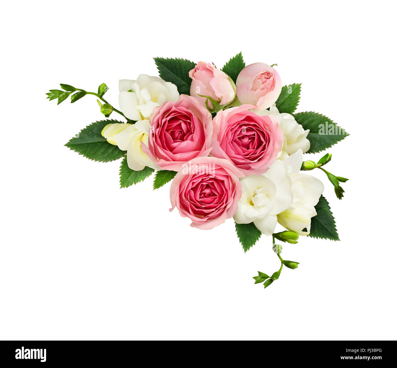 Freesia and pink rose flowers in a corner arrangement isolated on white ...