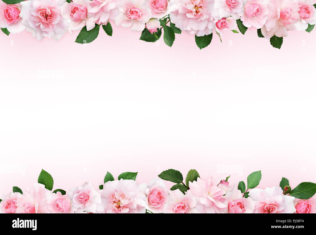 Borde De Clip Art De Flores Rosas Decoraciones De Borde De Marco De