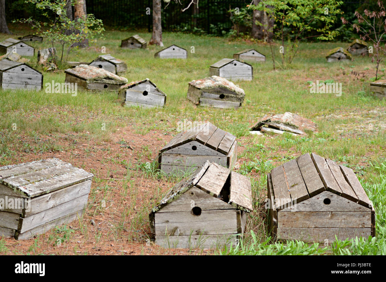 This is from the ghost town of Watson in Michigan's upper peninsula ...