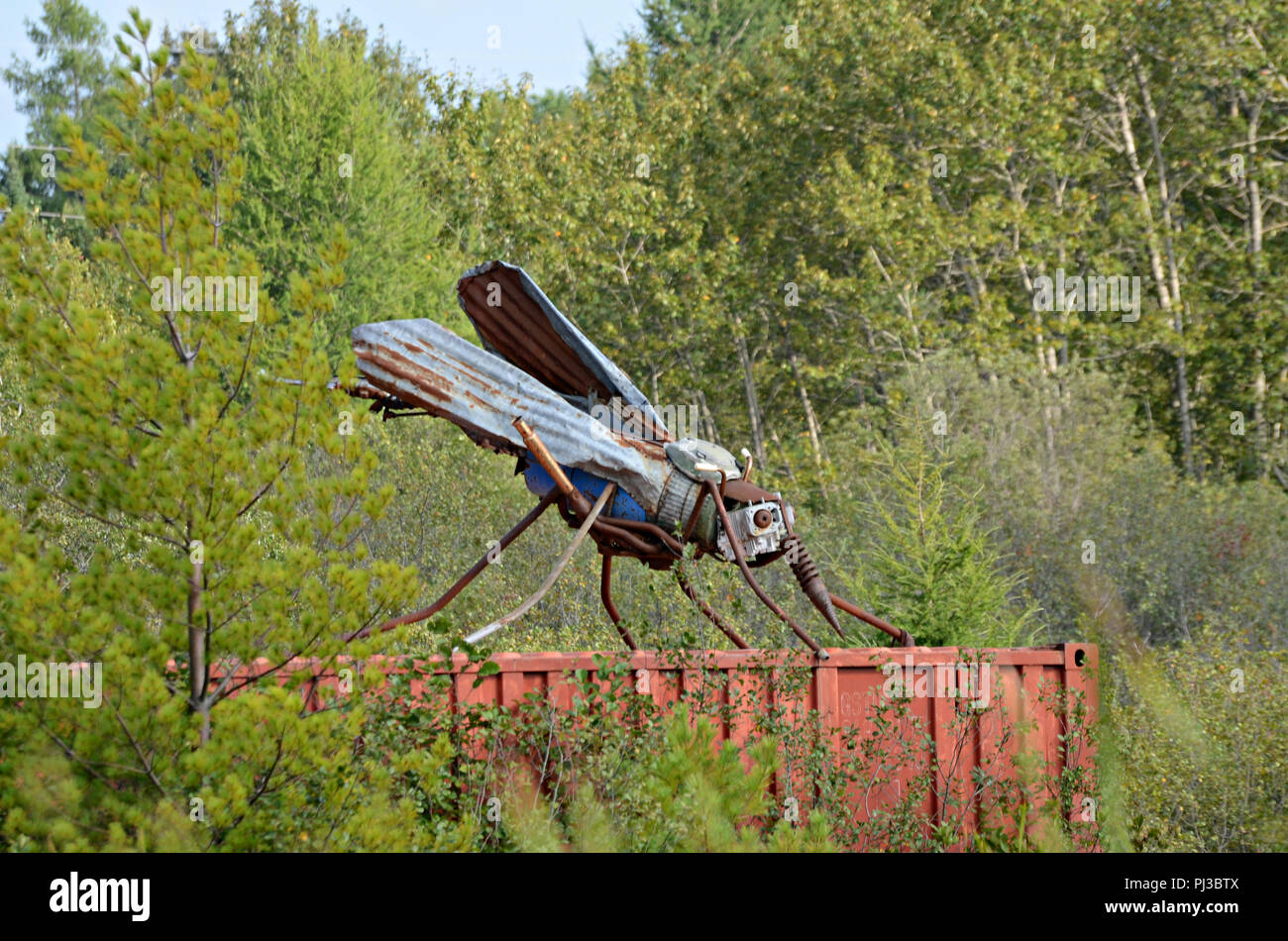 Historic cemetery in ghost town hi-res stock photography and images - Alamy