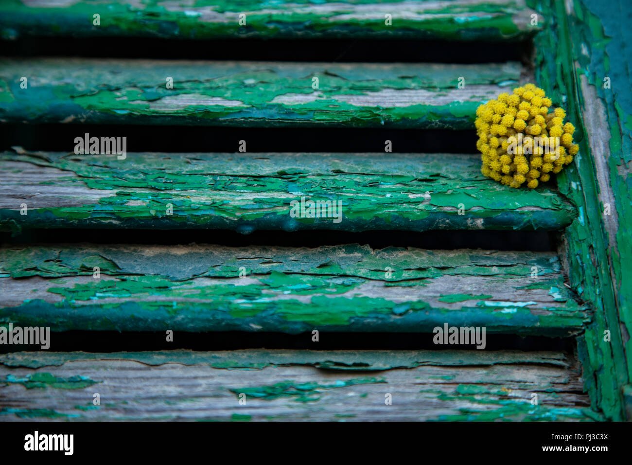 Old green painted window in Pyrgos Santorini Greece Stock Photo - Alamy